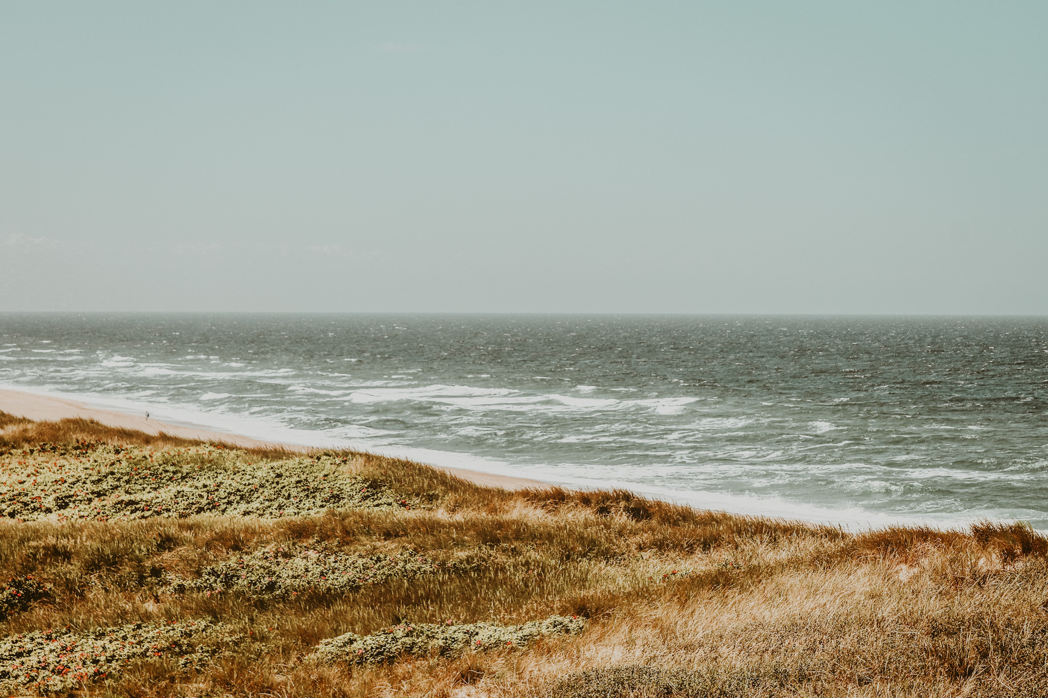 Infos - Curlys Surfschule